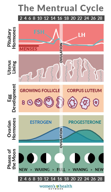 Are Irregular Periods A Signal Of Thyroid Problems?
