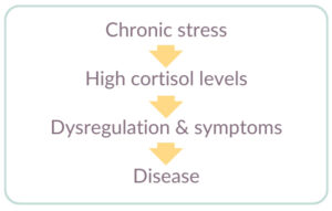 High Cortisol Levels the Stress Hormone Negative Effects - Women's ...