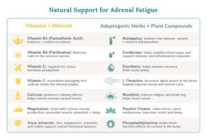 The Best Supplements and Herbs for Healing Adrenal Fatigue - Women's ...